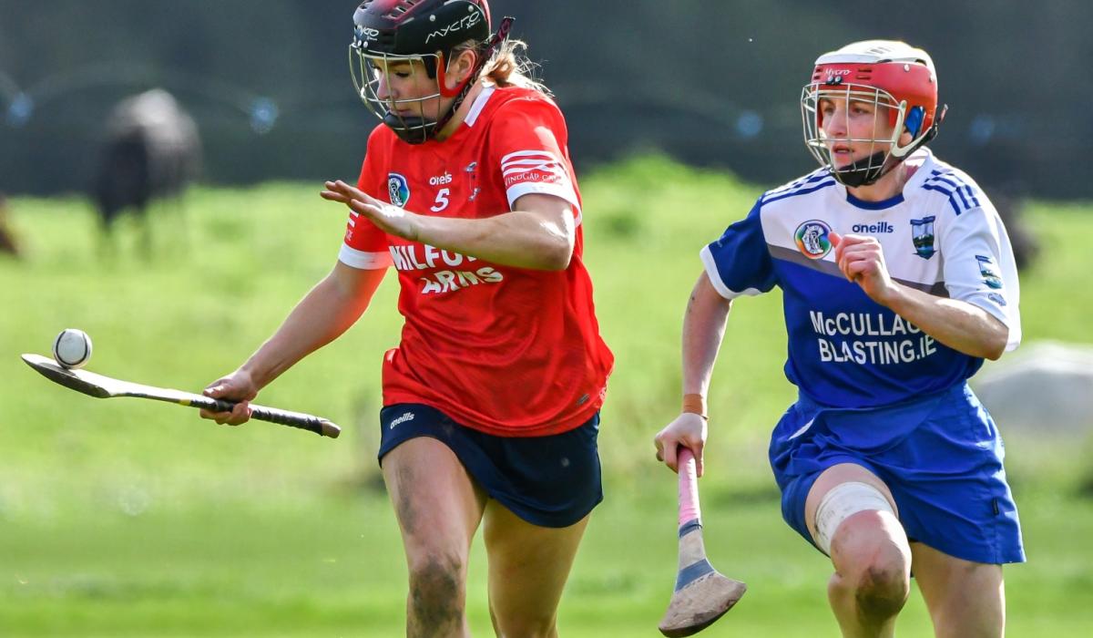 Windgap advance to first Senior Camogie Final - Kilkenny Live