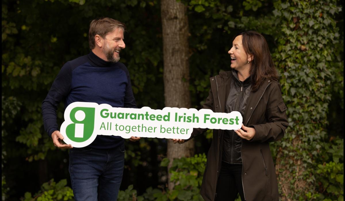 Tree-mendous: Planting the first Guaranteed Irish native forest ...