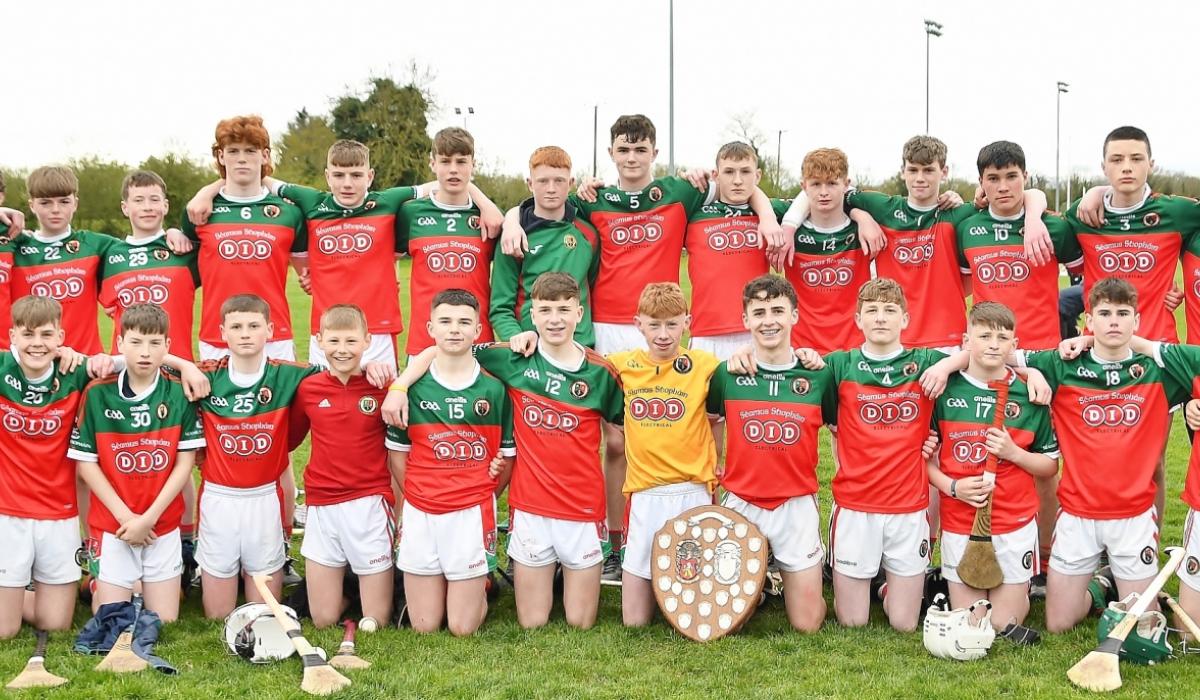 Kilkenny GAA- Hurling Féile proves to be a big hit - Kilkenny Live