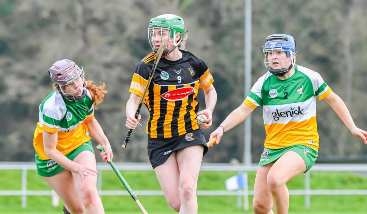Minor Camogie- Slick Cats advance to Leinster decider - Kilkenny Live