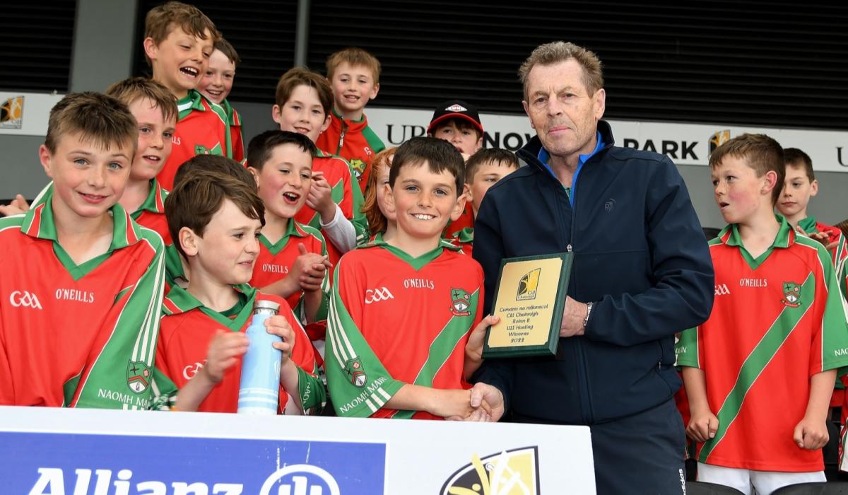 PICTURES: Cumann na mBunscol U11 and Roinn D finalists and winners ...