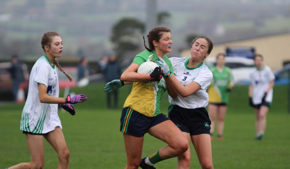 Leinster Final proves a step too far for gallant Muckalee - Kilkenny Live