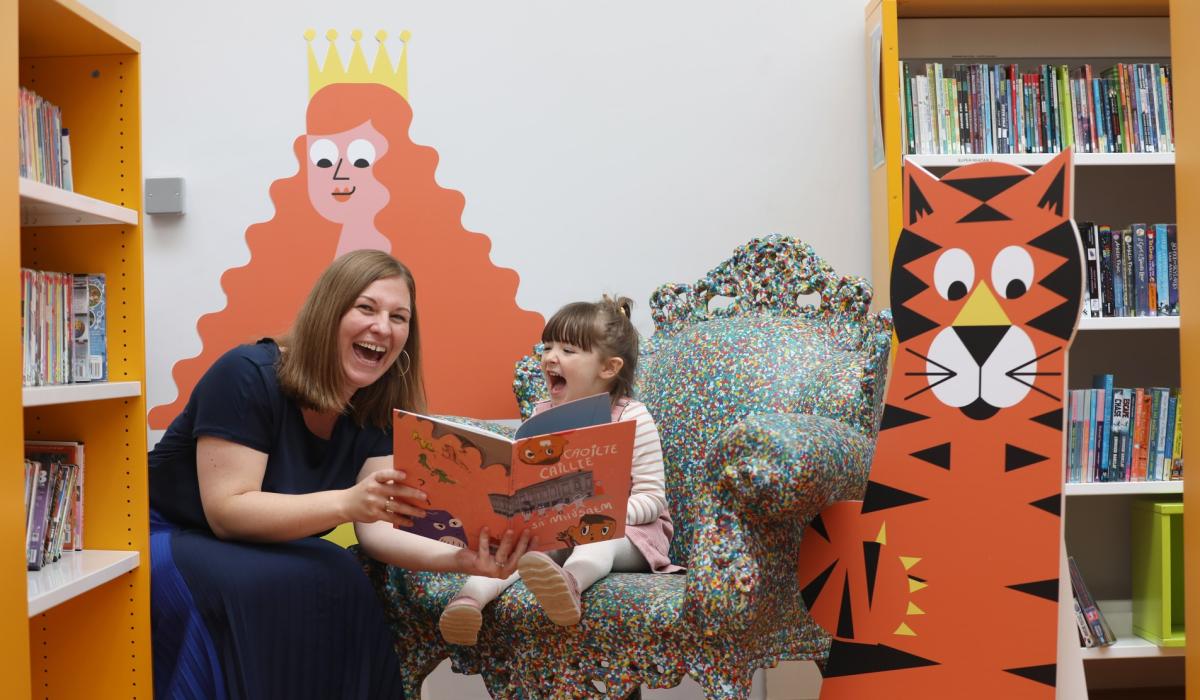 Picture This: Kilkenny libraries to showcase illustration-led books for ...