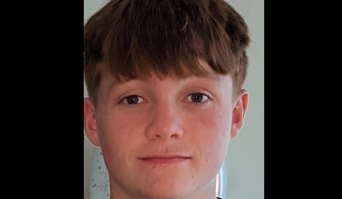 MISSING: Gardaí issue appeal to find 15-year-old missing from county neighbouring Kilkenny ...