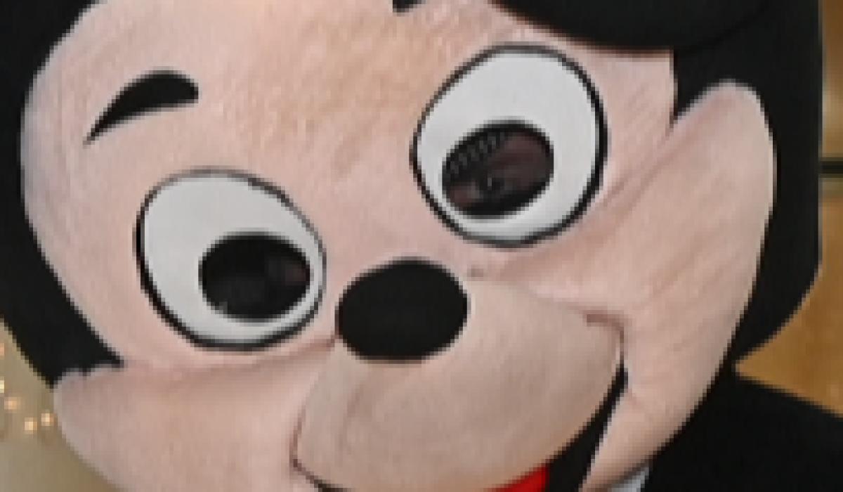 GALLERY: Kilkenny politician dresses up as iconic cartoon character in ...