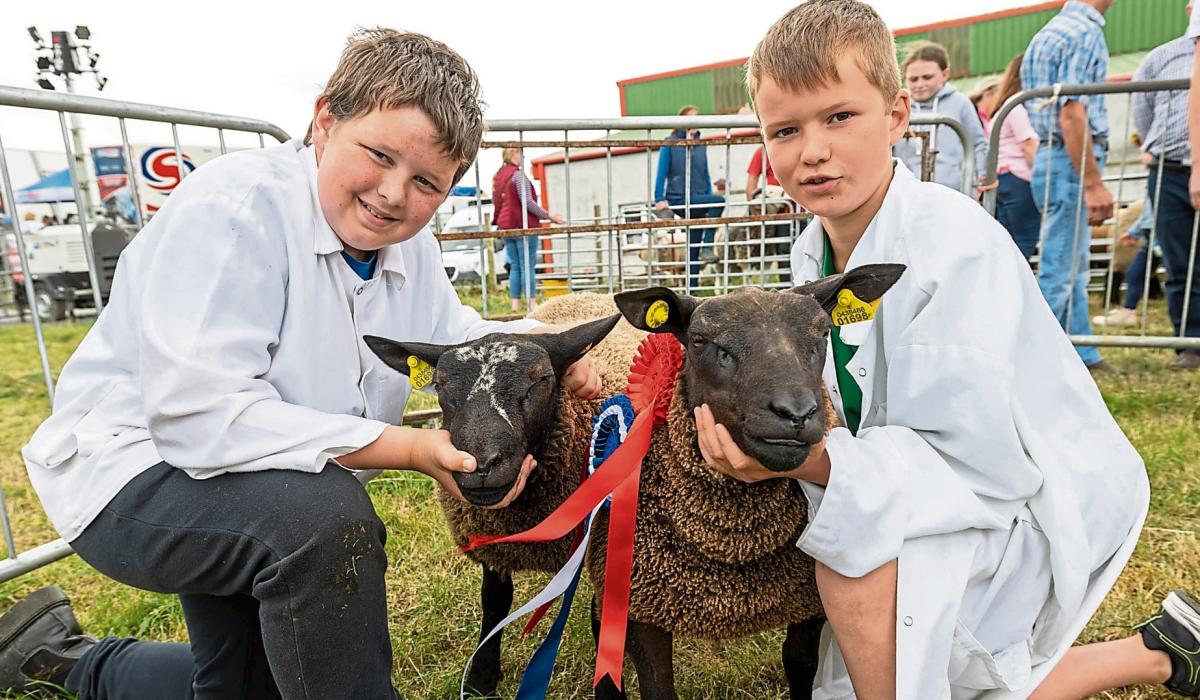 Rescheduled Ossory Show to take place this weekend - Kilkenny Live ...