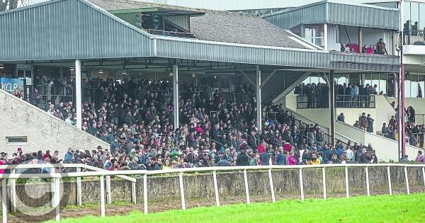 Horse-Racing: Alluringly returns to winning ways at Gowran Park - Kilkenny People