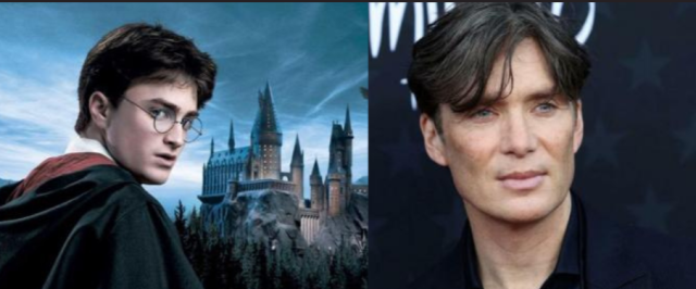 harry potter murphy