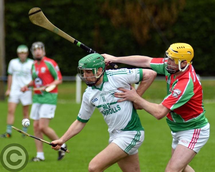 Kilkenny Hurling: Some of the stars who will be hoping to shine in the ...