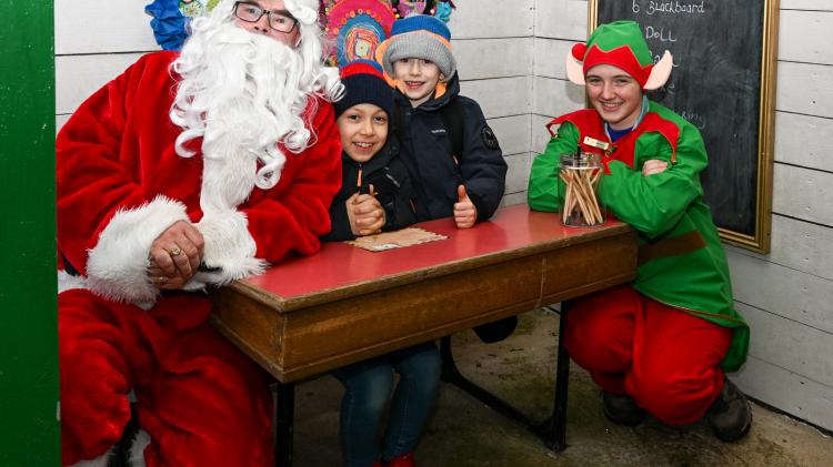 Talbot Tower closed indefinitely due to invasive Japanese plant ...