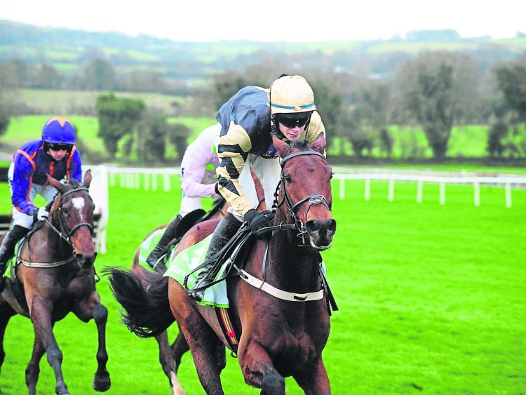 THE PUNTER'S EYE: Tips for the Galway Races over the weekend - Kilkenny ...