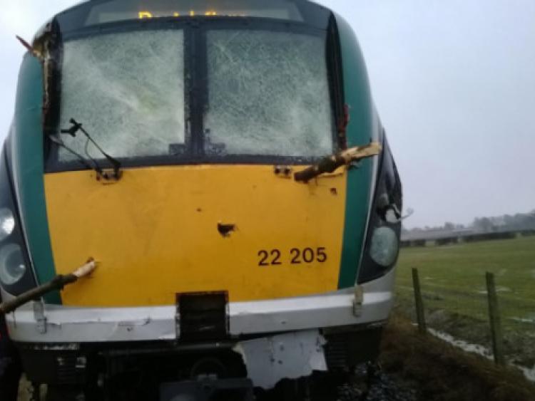 Train collides with fallen tree during storm - Kilkenny People