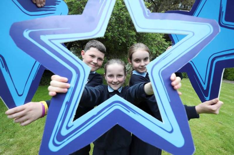 Blue Star Programme is now open to all Kilkenny primary schools ...