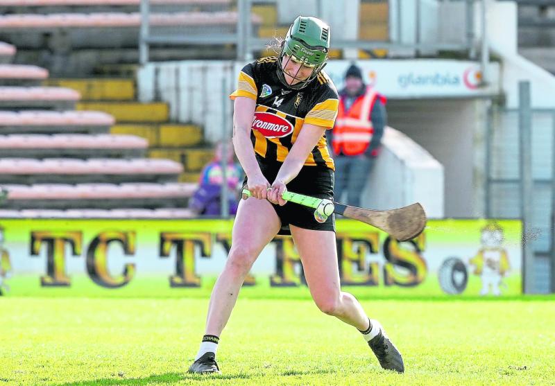 Camogie Congress brings big changes to playing rules - Kilkenny Live