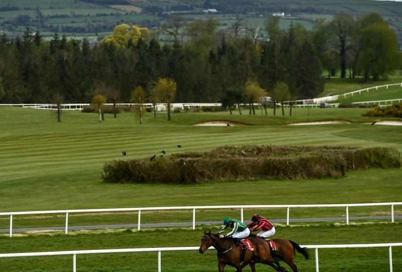 Racing at Gowran Park rescheduled due to waterlogged track - Kilkenny Live