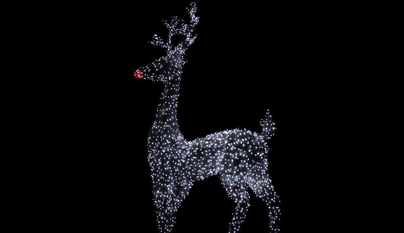 Met Eireann mentions Rudolf in official Christmas weather forecast ...