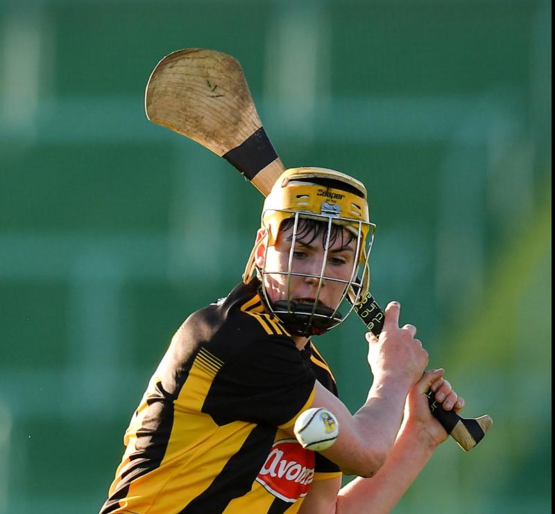 Kilkenny Under 20 side named to face Wexford - Kilkenny Live