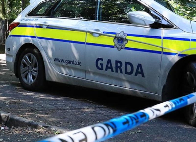 BREAKING: Young woman dies following dog attack in Limerick - Kilkenny Live
