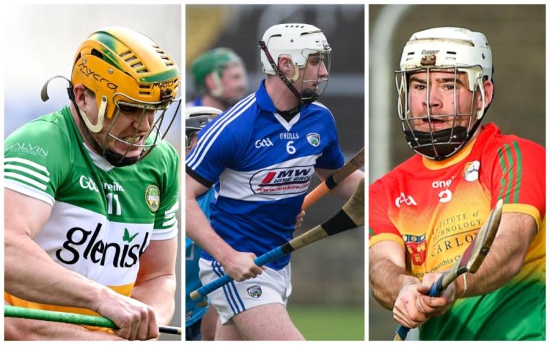14 counties represented in Irish Hurling/Shinty squad for upcoming ...