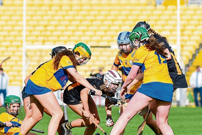 Performance levels a big positive for Kilkenny camogie manager Chap ...