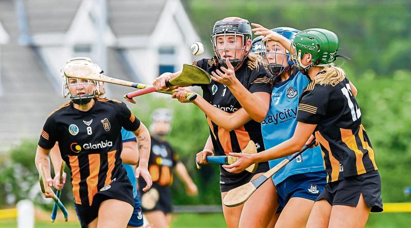 Honours even in Freshford as Kilkenny camogie intermediates make their ...