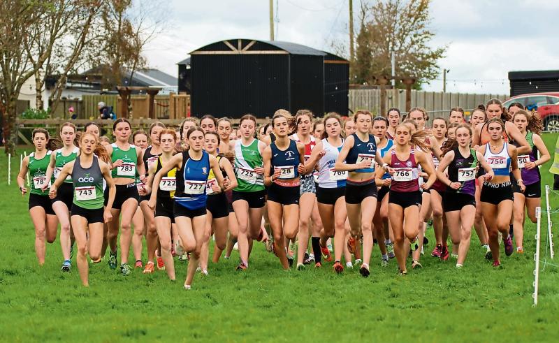 Mud, spikes and chutes - a guide to cross-country running - Kilkenny Live