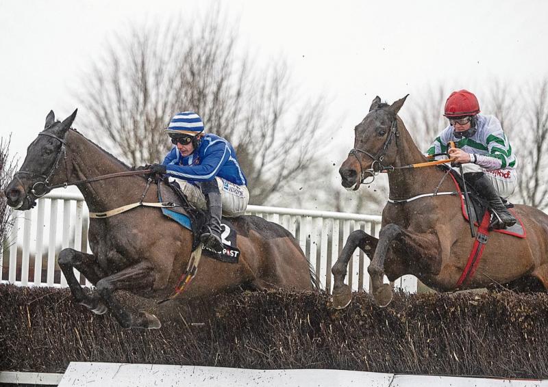 New Year but same old winning ways for Willie Mullins - Kilkenny Live