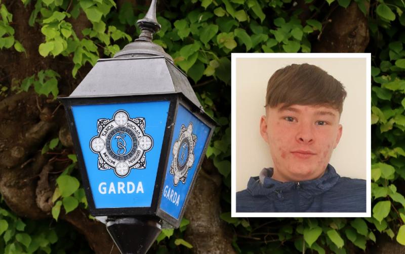 Search for teenage boy (16) missing for over a week stood down as gardaí issue update - Kilkenny ...