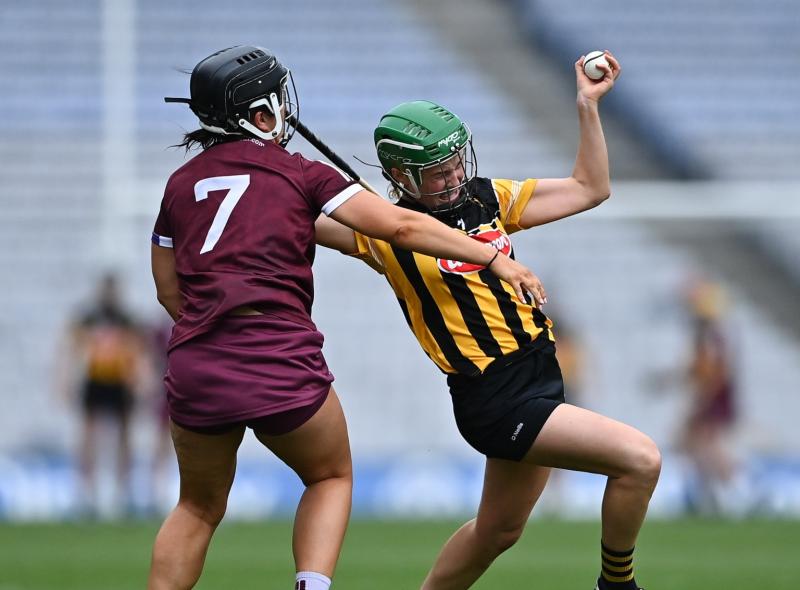 Preview- Winless Kilkenny and Galway set for big Nowlan Park tussle ...
