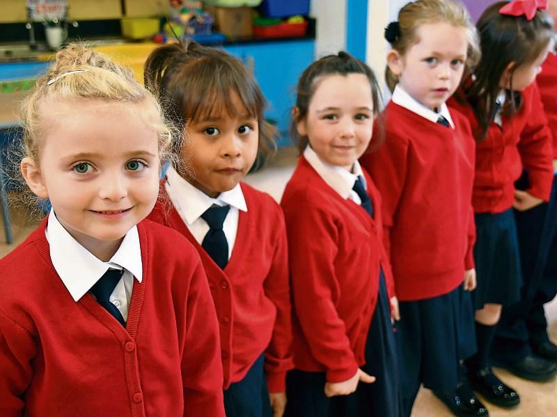 School crest will mark new era in Ballyragget - Kilkenny Live
