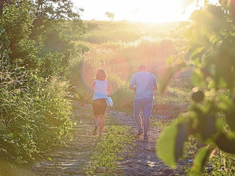 Conahy Heritage Society walk for Heritage Week - Kilkenny Live