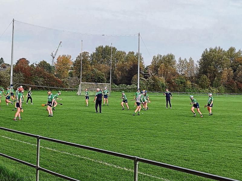 Kilkenny Camogie- Mooncoin blitz Ballyhale in big win - Kilkenny Live