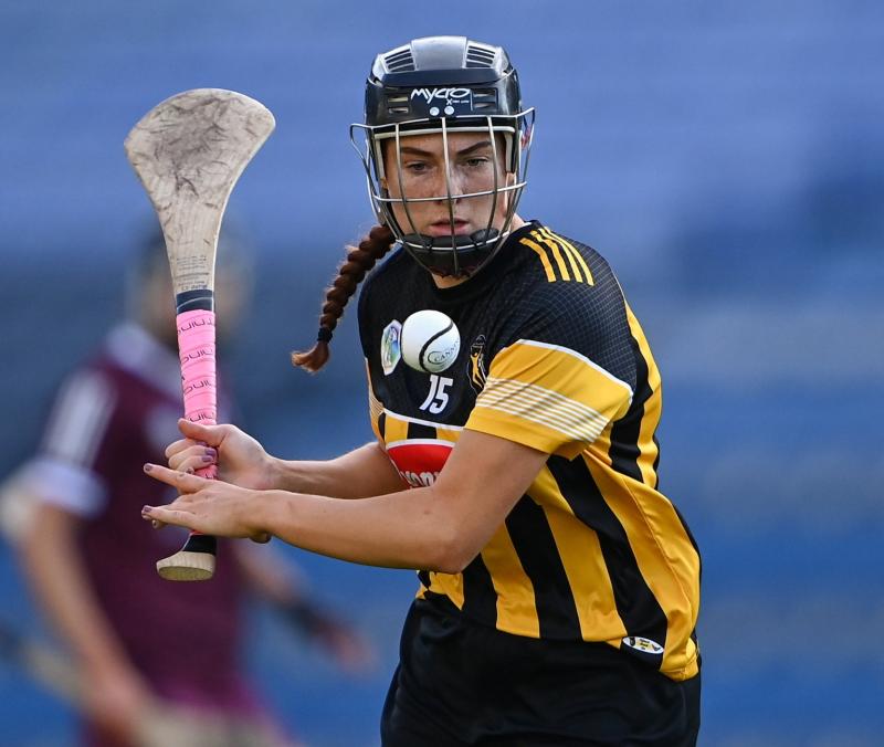 Doyle delight as Piltown prevail over Clara - Kilkenny Live