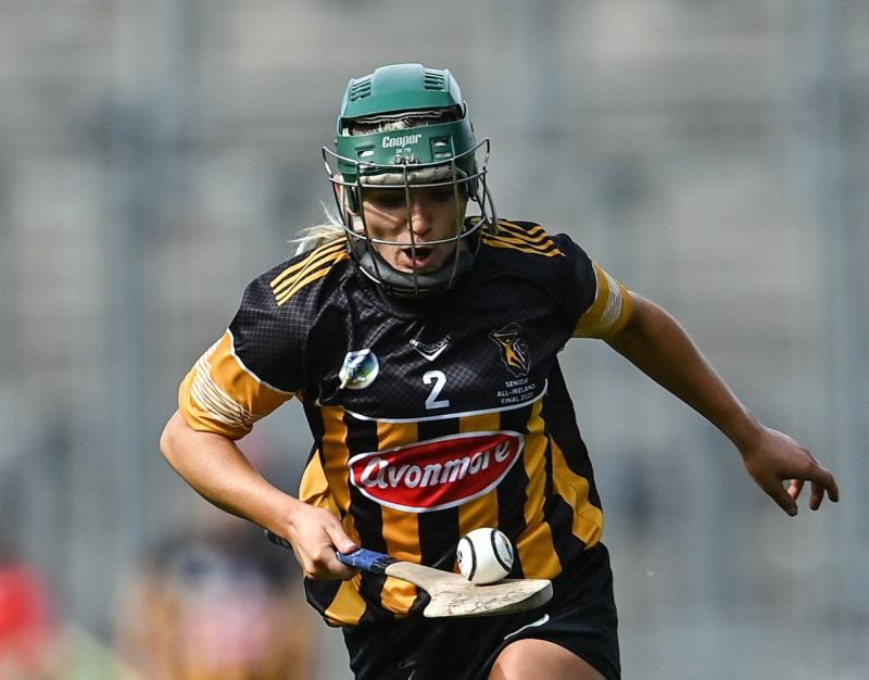 James Stephens on the verge of Croker camogie final appearance ...