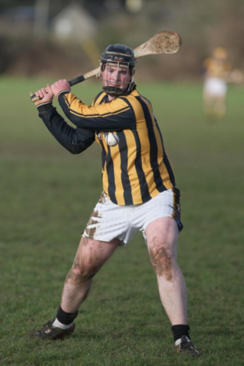 Morrissey the scoring master as Castlecomer breeze past Borris ...