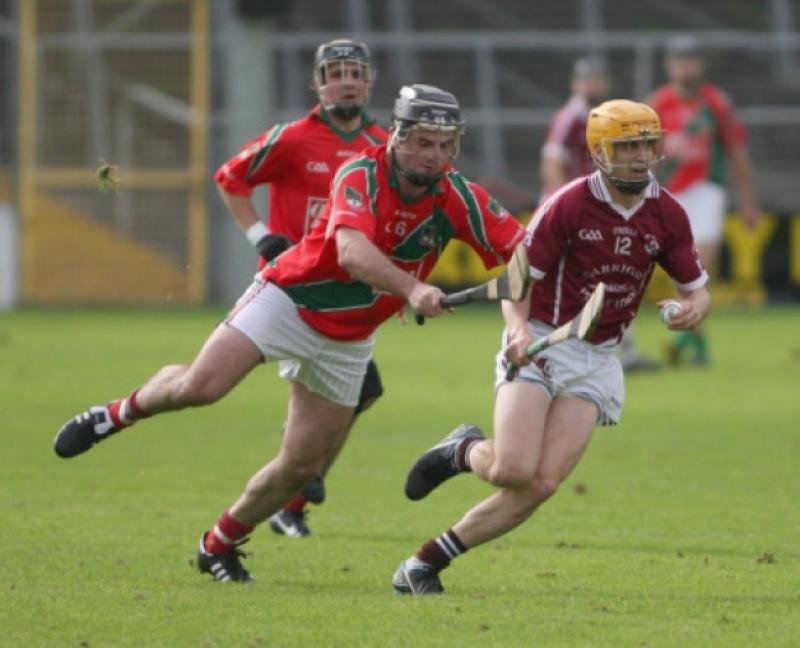 Cats run is deserving of absolute respect - Kilkenny Live