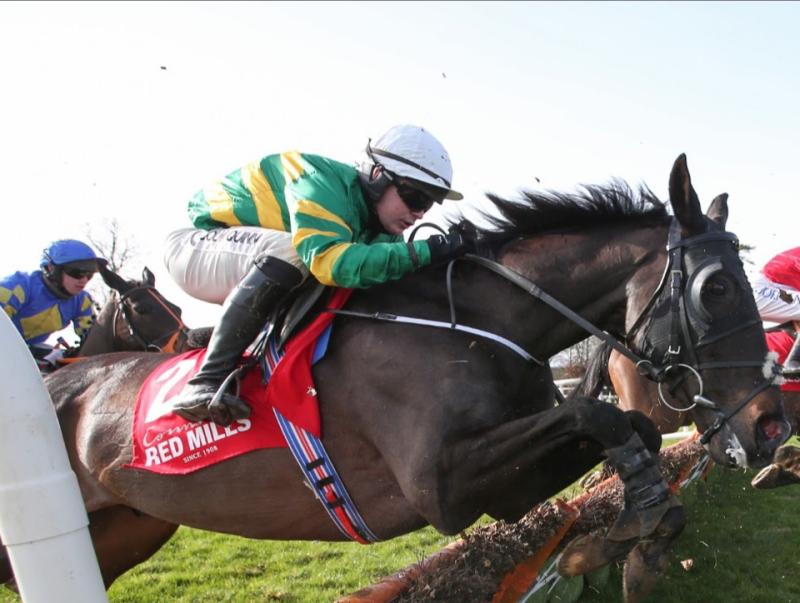 Gowran Galactico Mullins looking for Allaho alternative to step up on ...