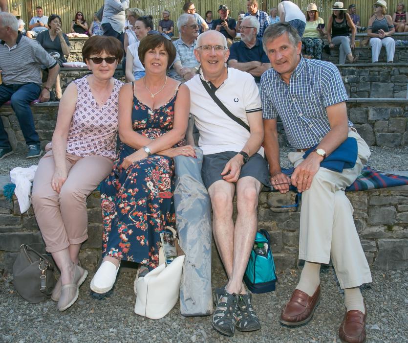 GALLERY: Ballykeeffe Amphitheatre hits right note - Photo 1 of 18 ...