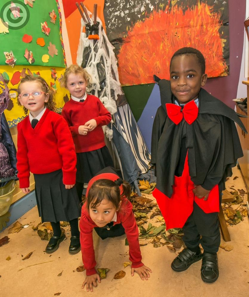 Picture Gallery: Ballyragget National School thriving following recent ...