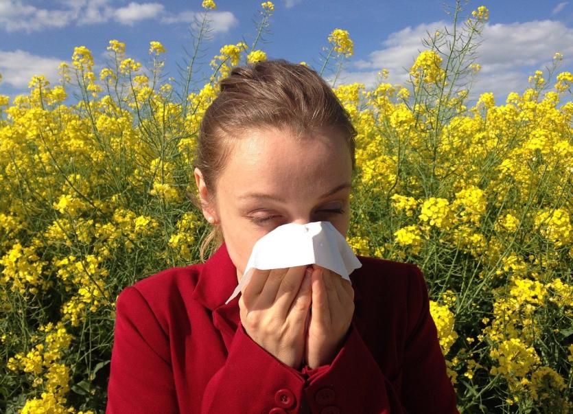 Hay Fever season is here! Use these top tips to survive the months ...