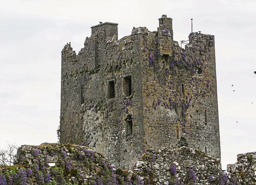 Revealed: South Kilkenny's Grannagh Castle reconstructed in all it's ...