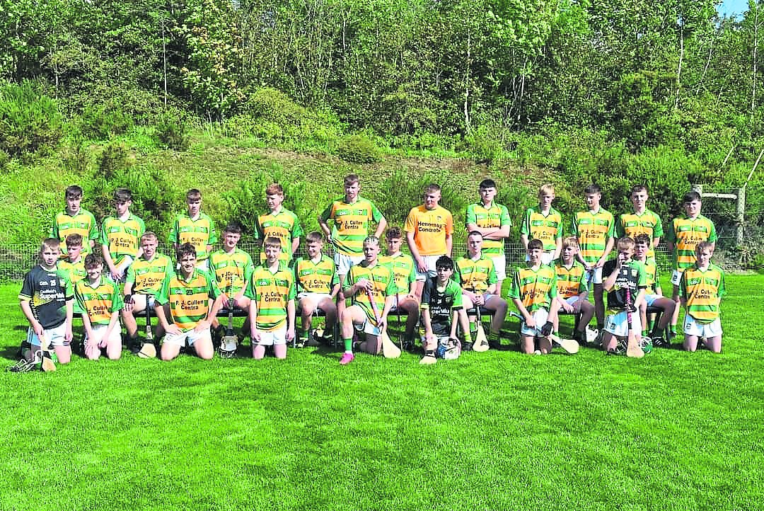 Minors get ready for a busy summer of hurling action - Kilkenny Live