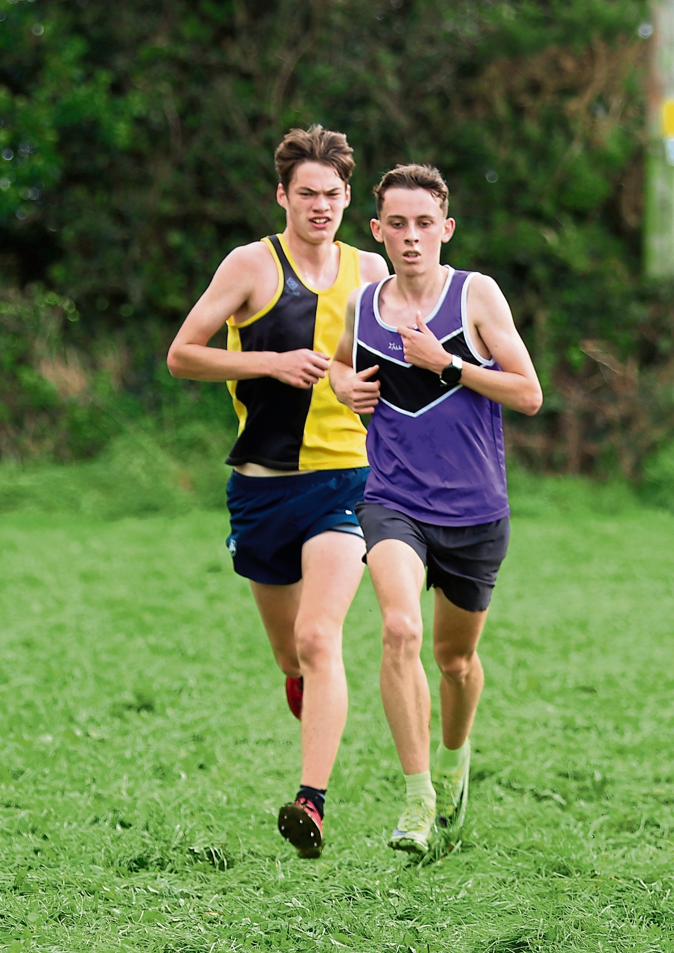 Everard and Dermody sweep to senior success - Kilkenny Live