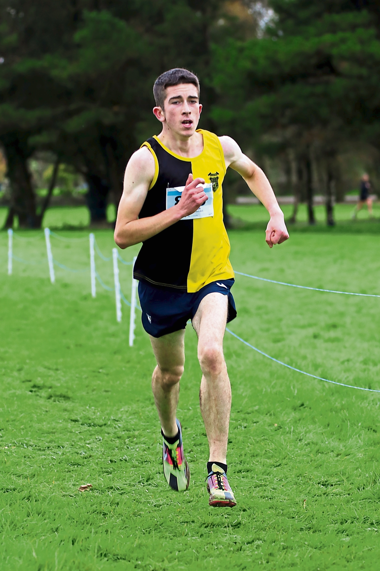 Green and Coogan find gold at Cross-Country masterpiece - Kilkenny Live