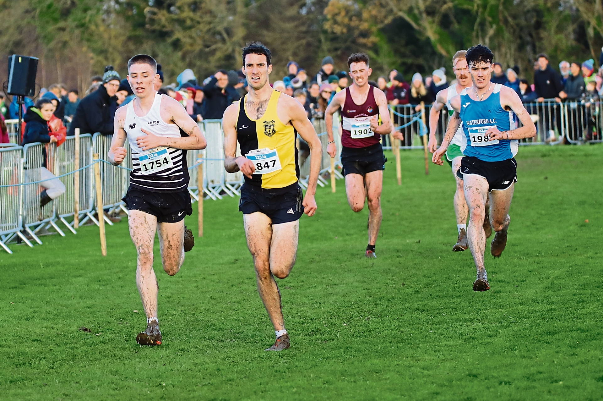 Mud, spikes and chutes - a guide to cross-country running - Ireland Live