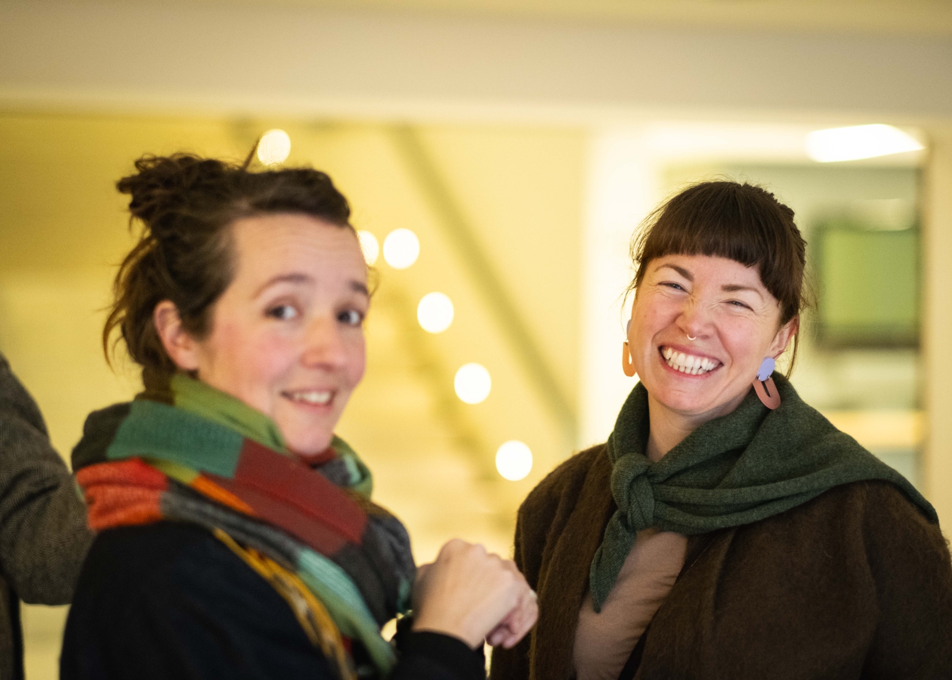 Kilkenny artist Christine Mackey’s solo exhibition opens at The Model ...